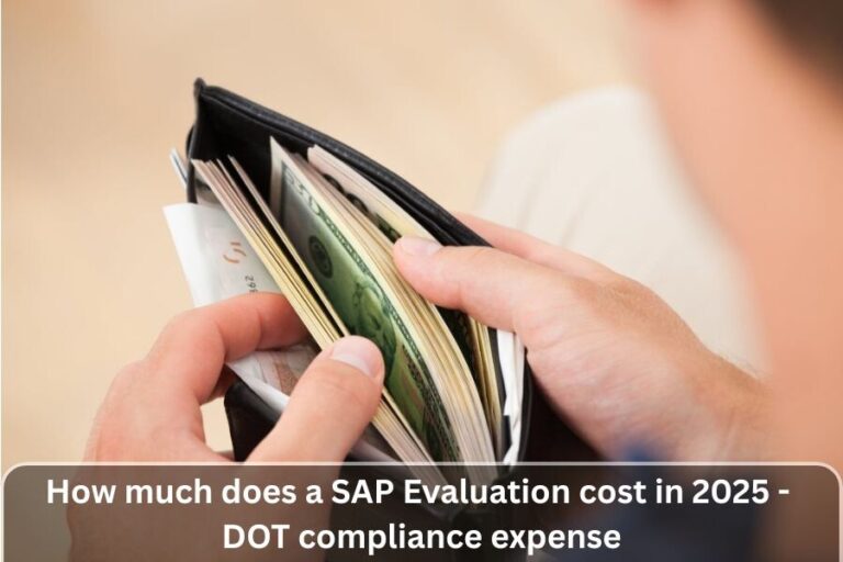 DOT SAP Program: Process and Requirements Explained